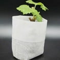 Vikakiooze Biodegradable Nursery Bags Set, Plant Grow Bags Non-Woven ...