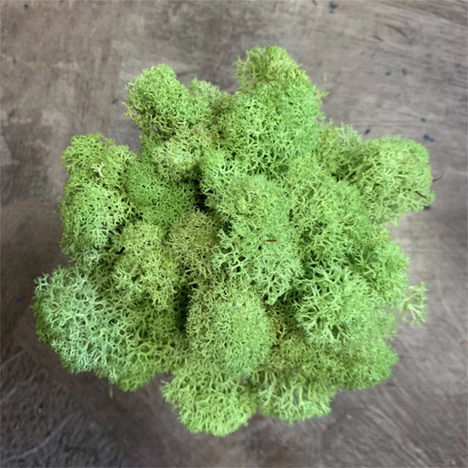 Vikakiooze Home Decor Artificial Green Plant Immortal Fake Flower Moss ...