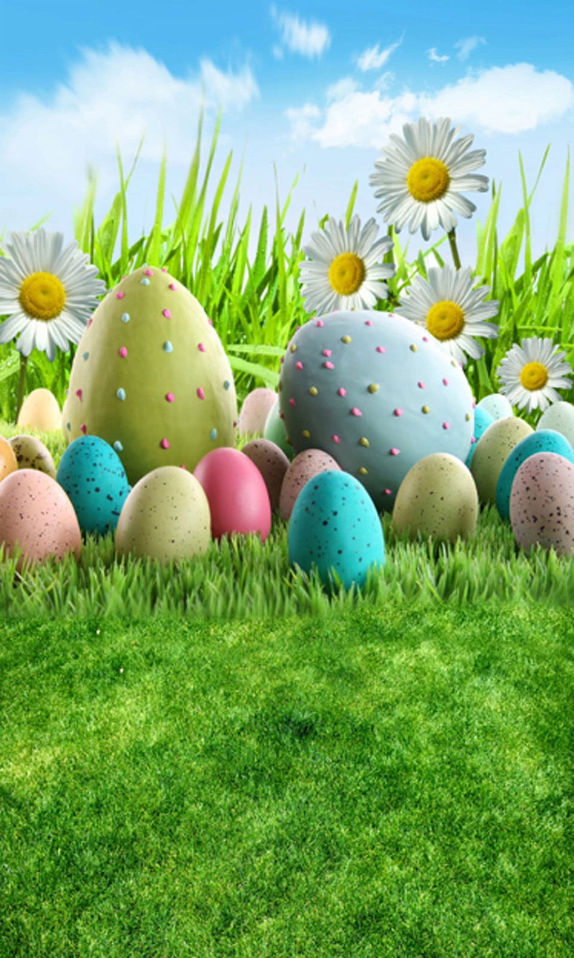 Vikakiooze Home Decor , Easter Day Theme Vinyl Photography Custom Photo ...