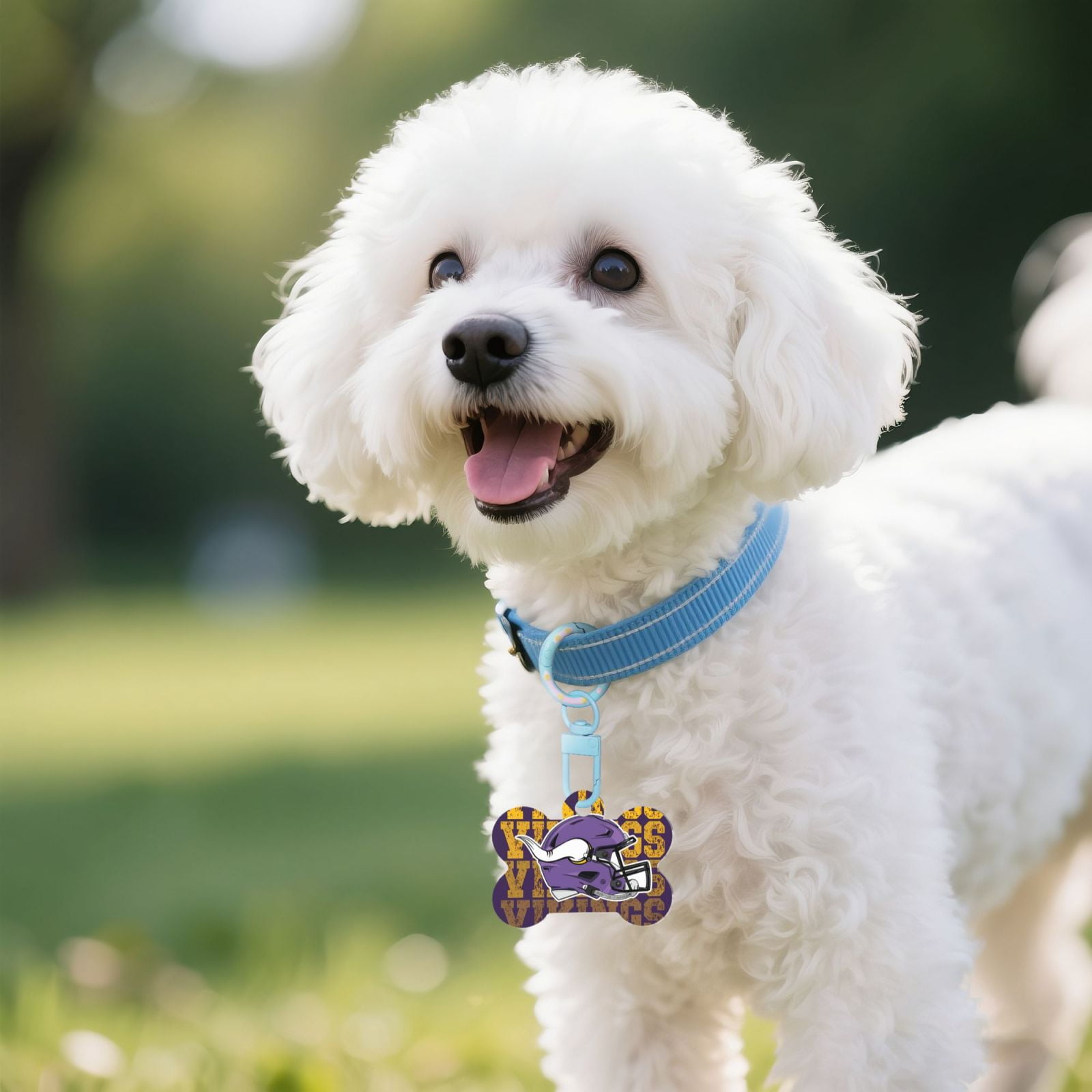 Vikings Bone shaped Acrylic Pet Tags Football Team Clear Pet ID Tag ...