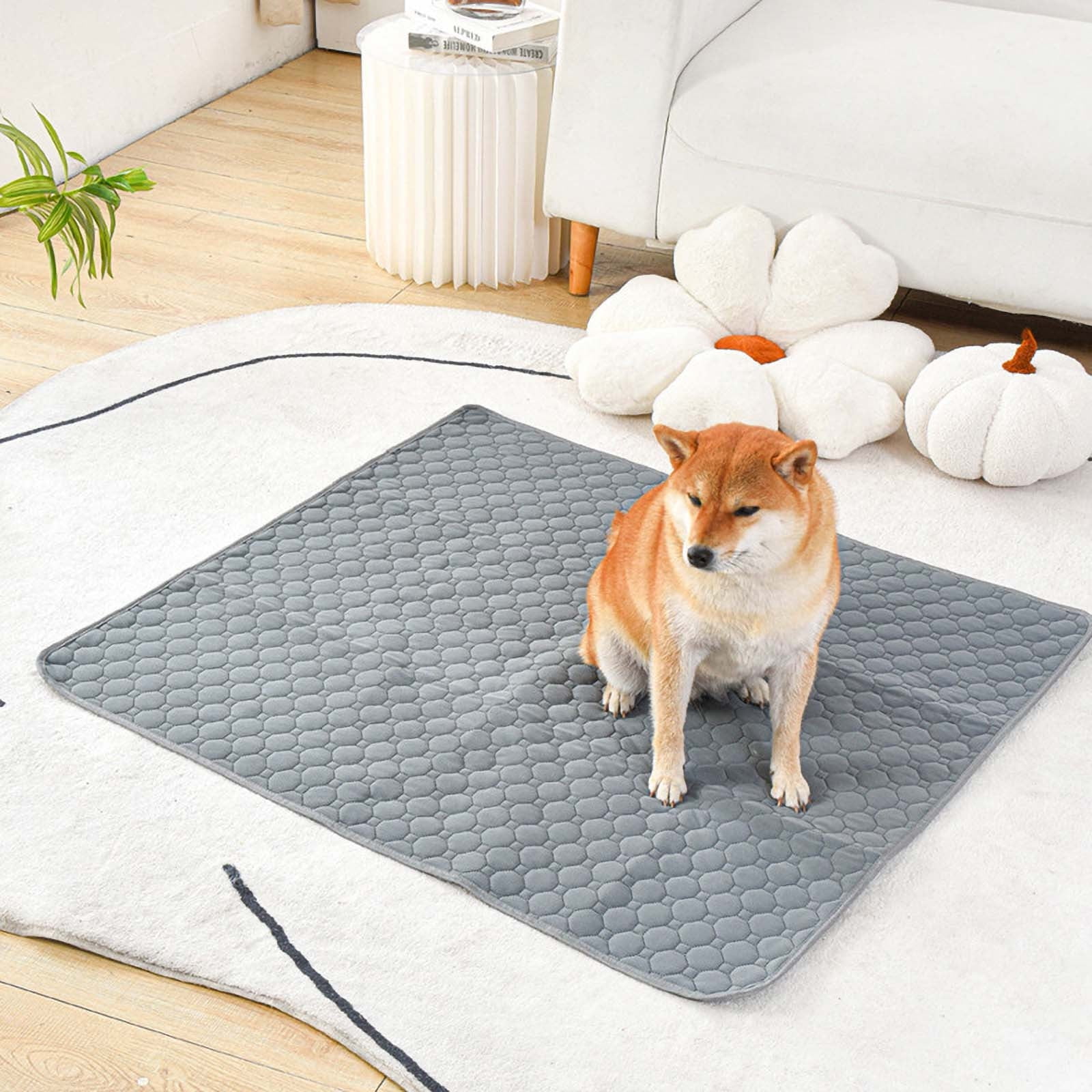 Vikszoy Washable Pet Urinary Mat for Dogs and Cats Training Instant ...