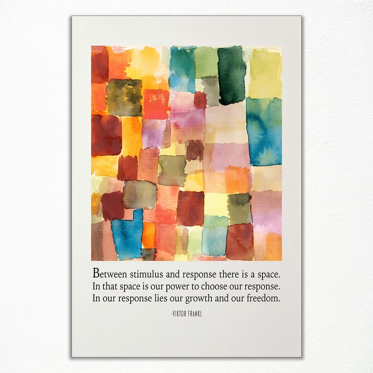Viktor Frankl Quote Canvas Wall Art, Colorful Mental Health Posters for ...