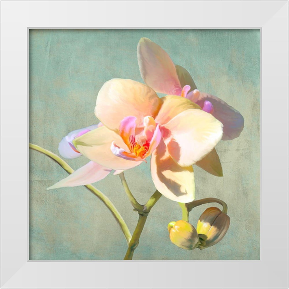 Villa, Luca 15x15 White Modern Wood Framed Museum Art Print Titled ...