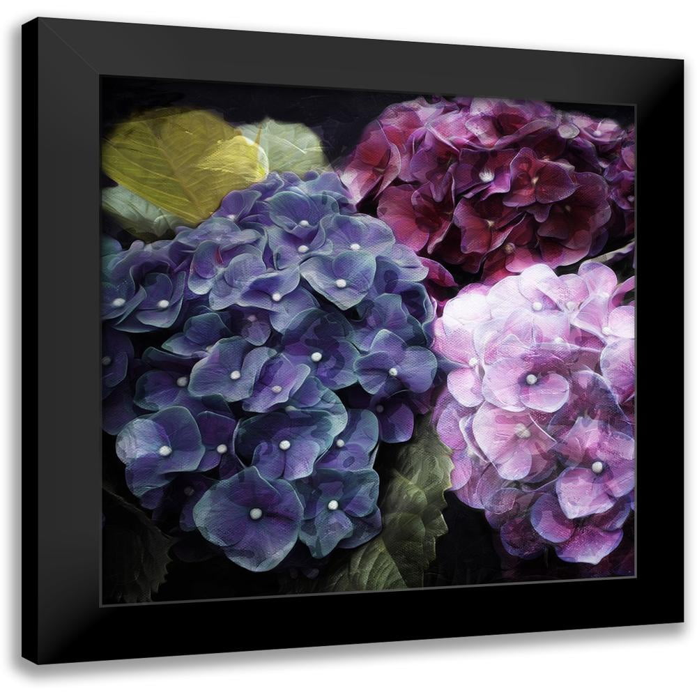 Villa, Mlli 12x12 Black Modern Framed Museum Art Print Titled - Purple ...