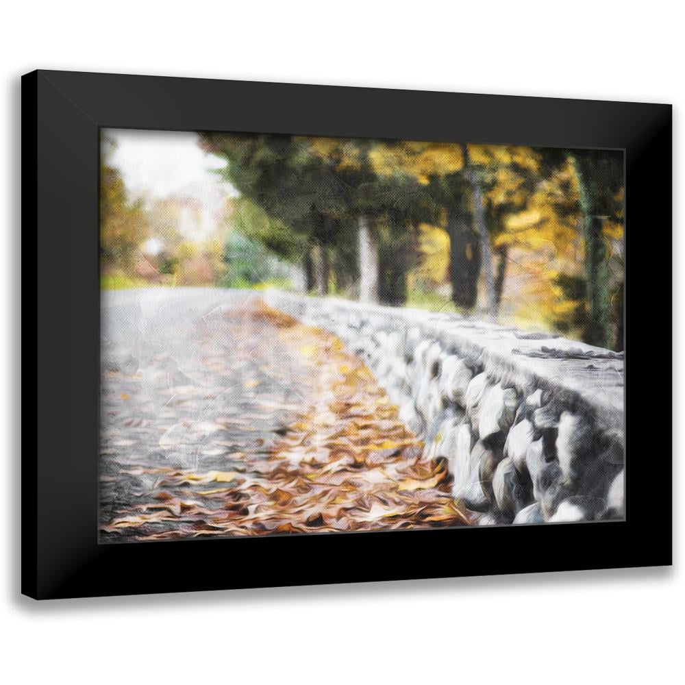 Villa, Mlli 14x12 Black Modern Framed Museum Art Print Titled - Leaves ...