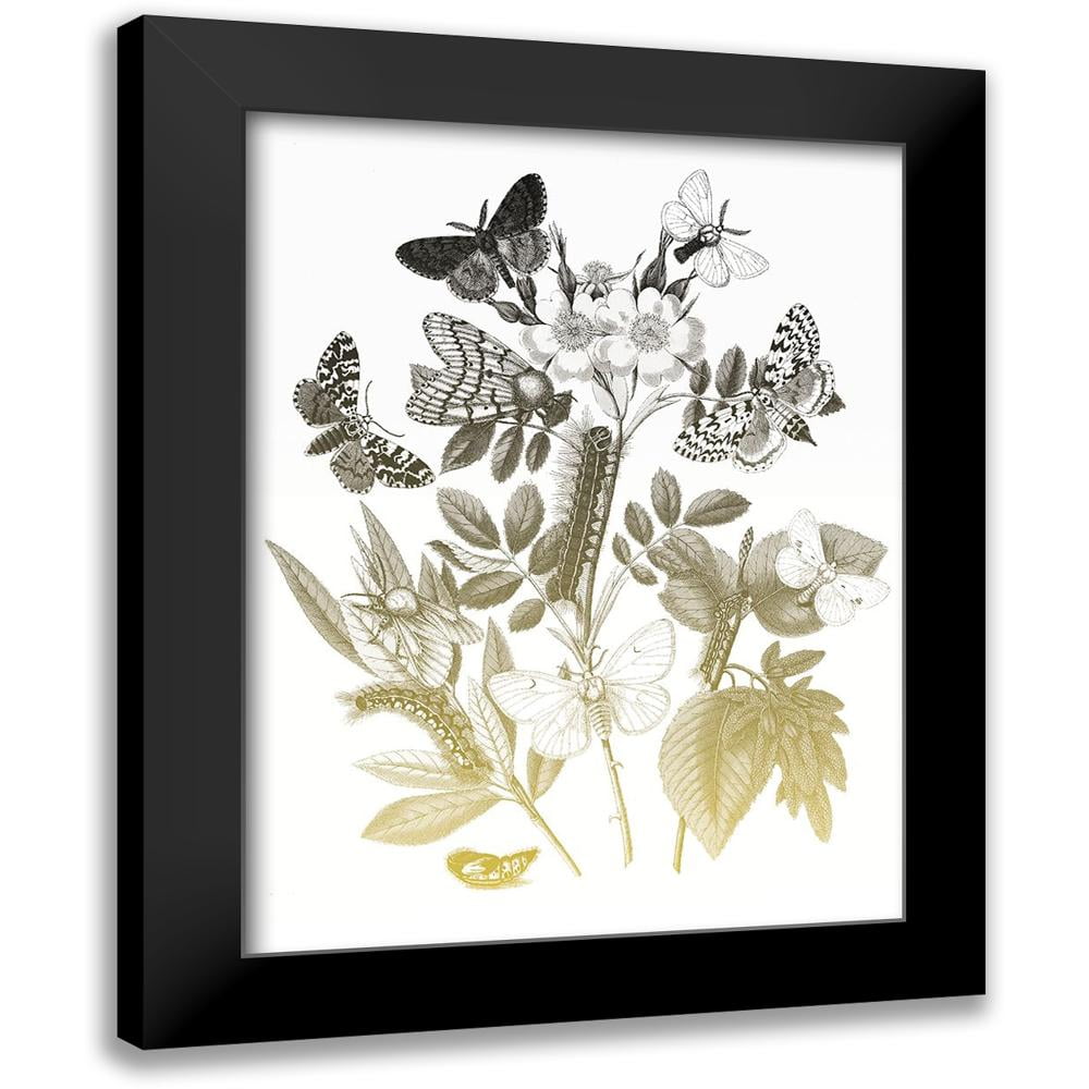 Villa, Mlli 15x18 Black Modern Framed Museum Art Print Titled - Flower ...