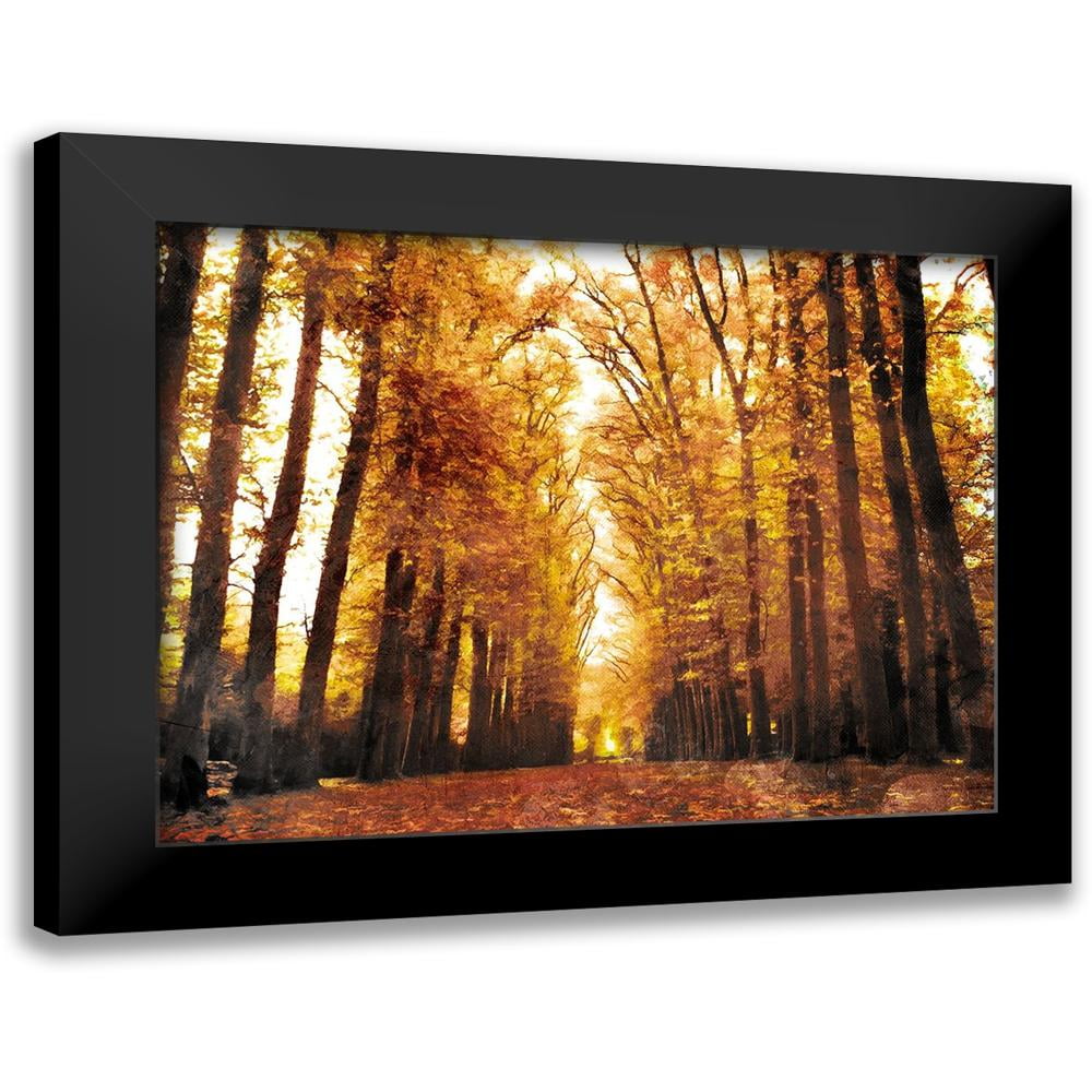 Villa, Mlli 24x19 Black Modern Framed Museum Art Print Titled - Fallow ...