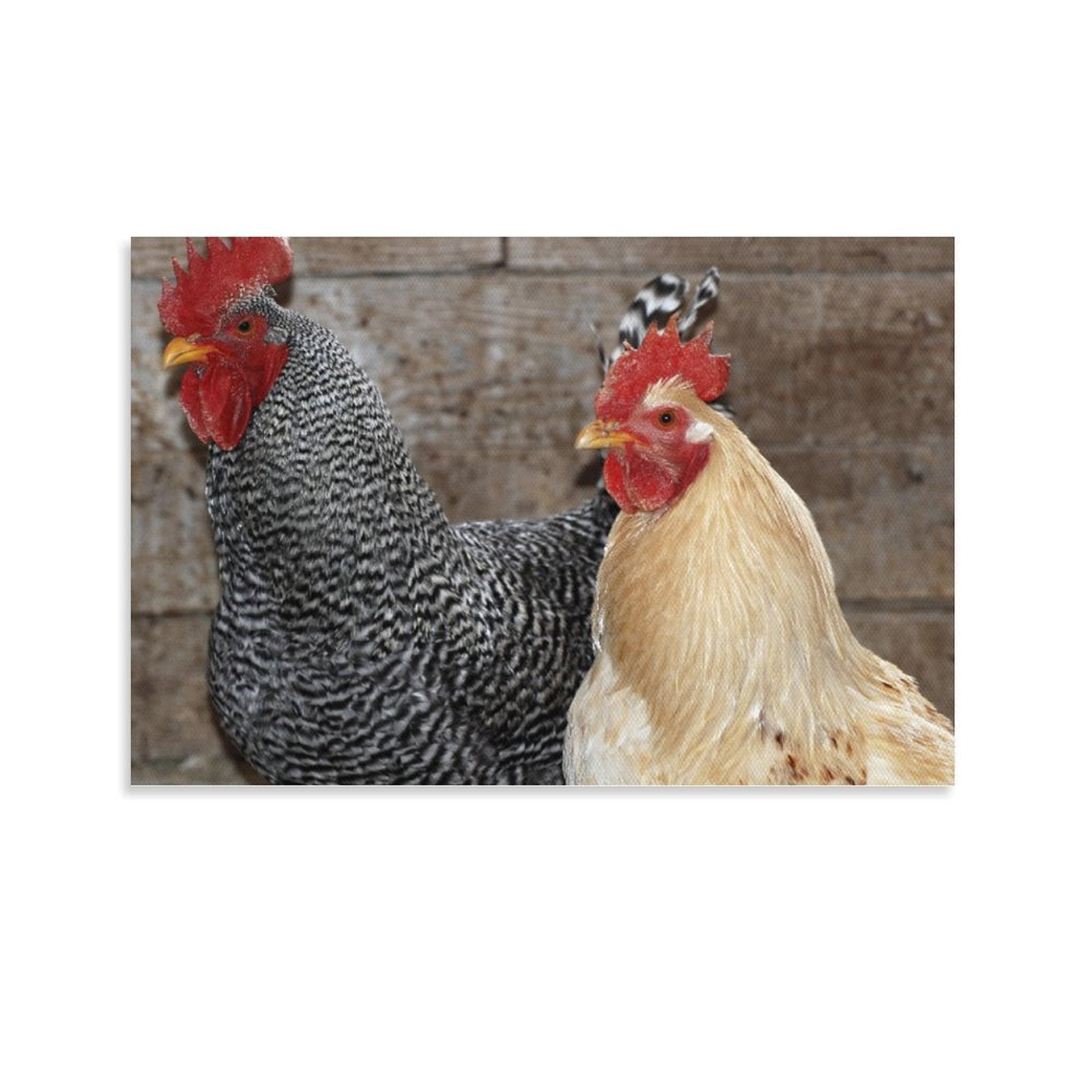 Village Chicken Poster Decorative Painting Canvas Wall Art Living Room ...