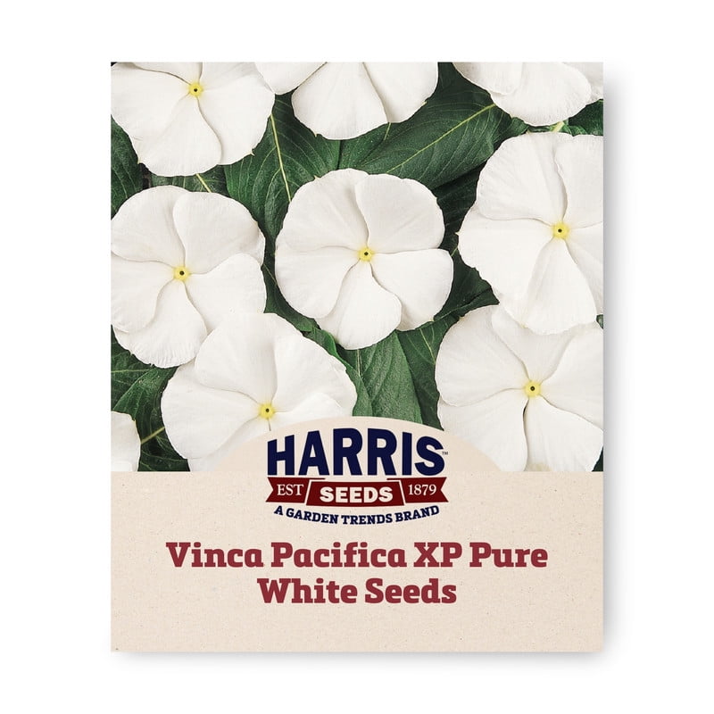 Pacifica XP Pure White Vinca Seed - Top Selling Annual with Large ...