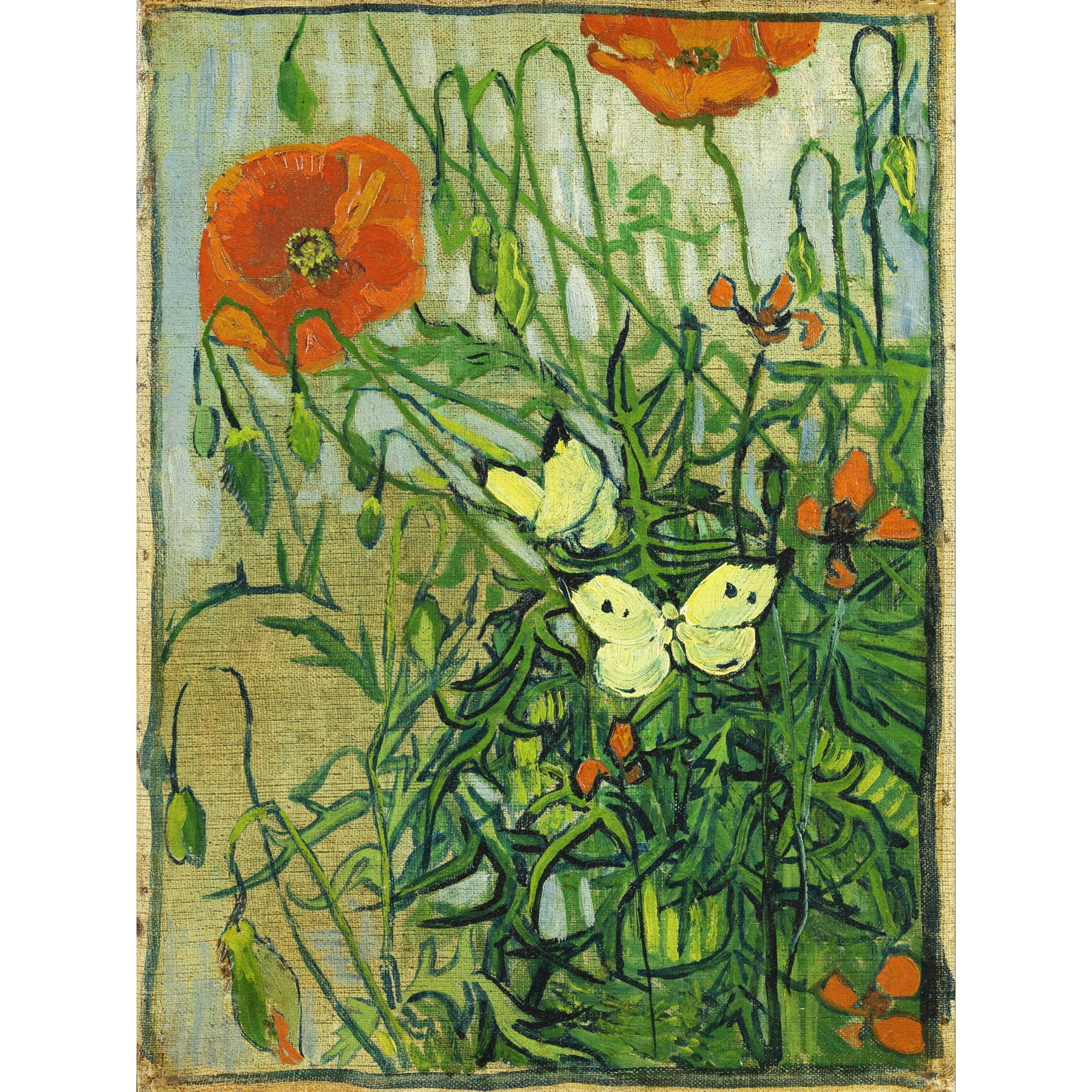 Vincent Van Gogh Butterflies And Poppies Extra Large Art Print Wall ...