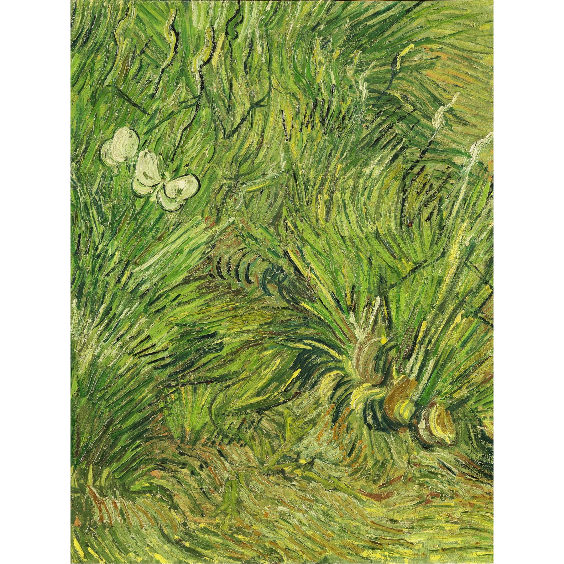 Vincent Van Gogh Garden With Butterflies Extra Large Art Print Wall ...