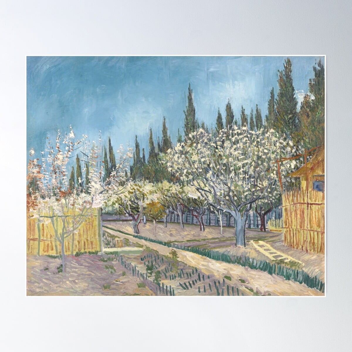 Vincent Van Gogh Orchard In Blossom Bordered By Cypresses Poster Wall ...
