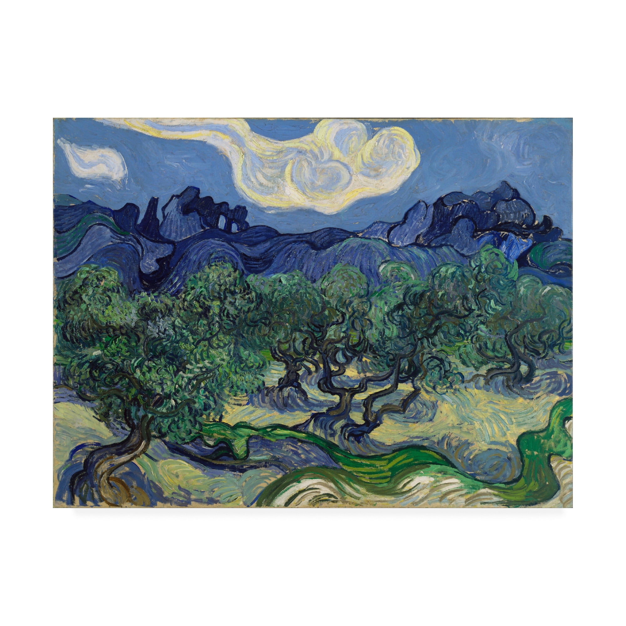 Vincent Van Gogh 'The Olive Trees' Canvas Art - Walmart.com
