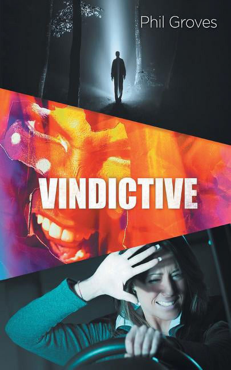 Vindictive (Paperback) - Walmart.com