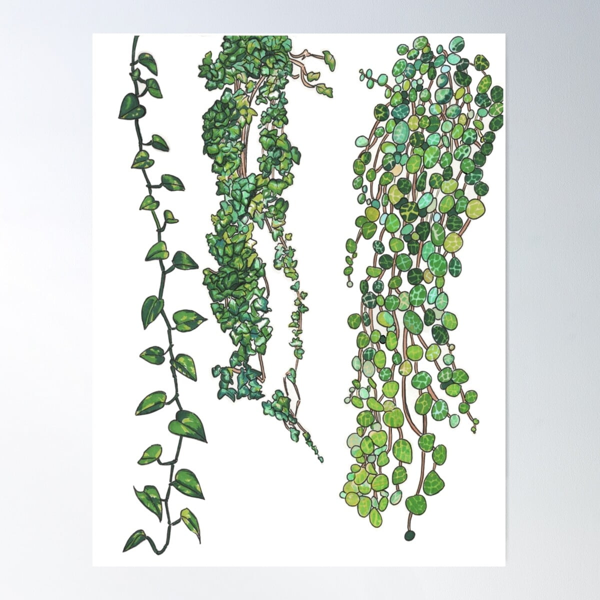 Vines Poster Wall Art, Modern Wall Decor For Living Room Bedroom, 8x12 ...