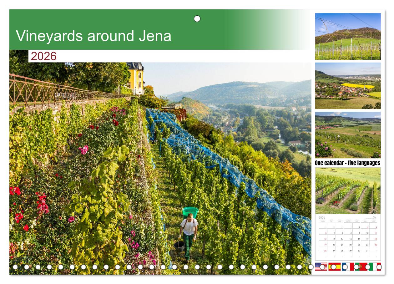 Vineyards around Jena (Monthly Wall Calendar 2026 16.5 x 23.4 (open ...