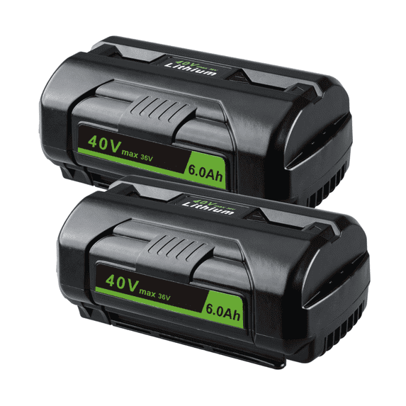 Vinida 40V 6Ah Rechargeable Lithium Cordless Battery, Compatible with ...
