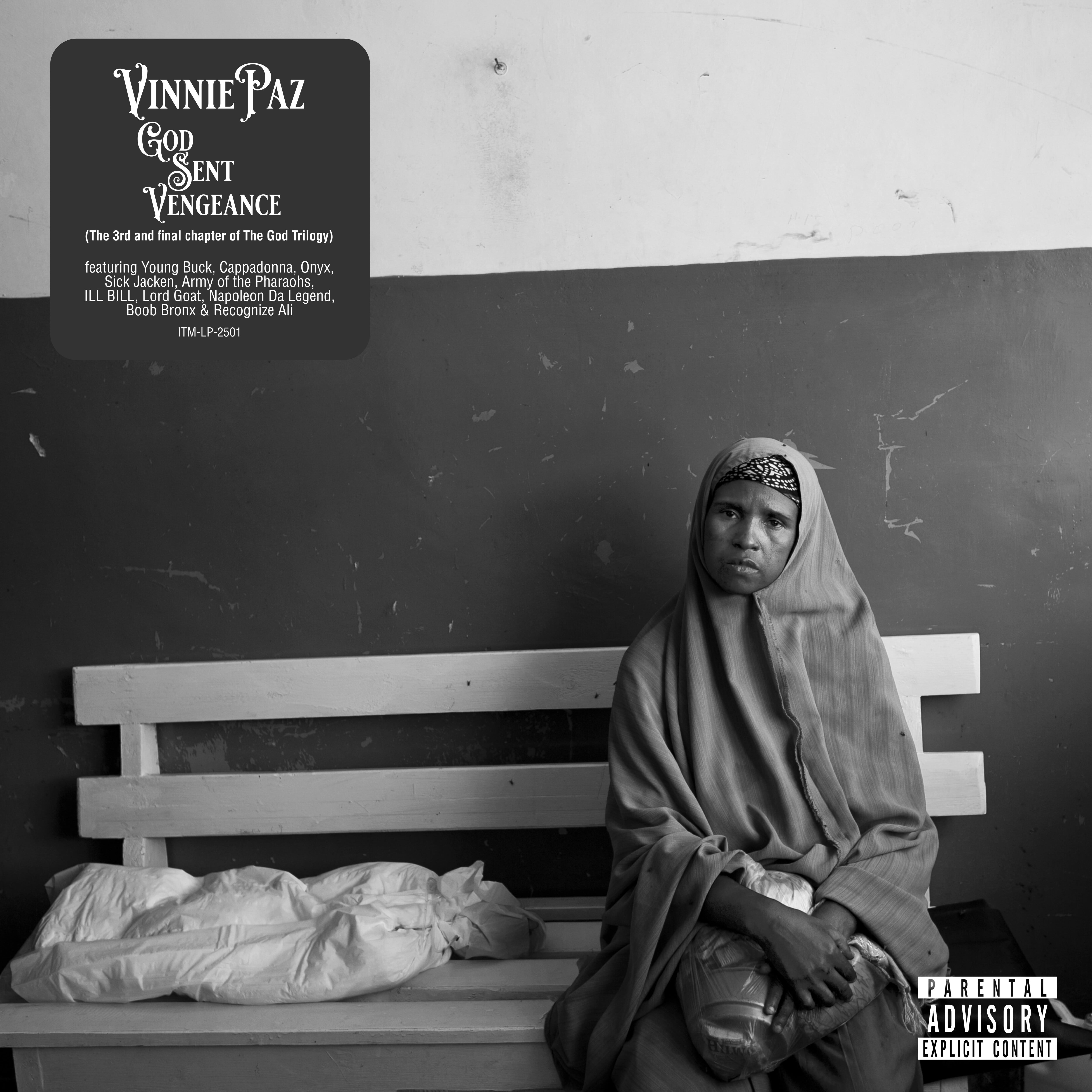 Vinnie Paz - God Sent Vengeance - Music & Performance - Vinyl - Walmart.com