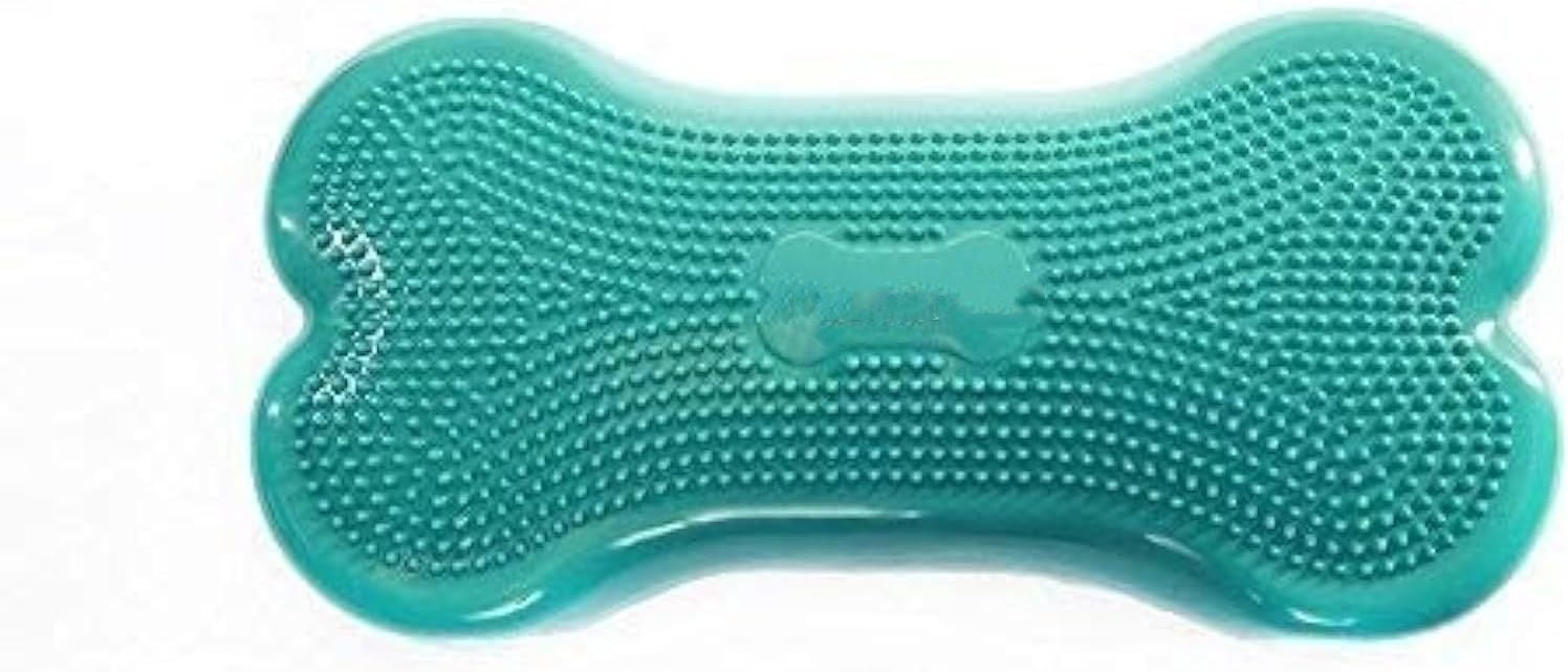 Vinsco - Regular, Aqua | Dog Balance Training Platform & Exercise ...