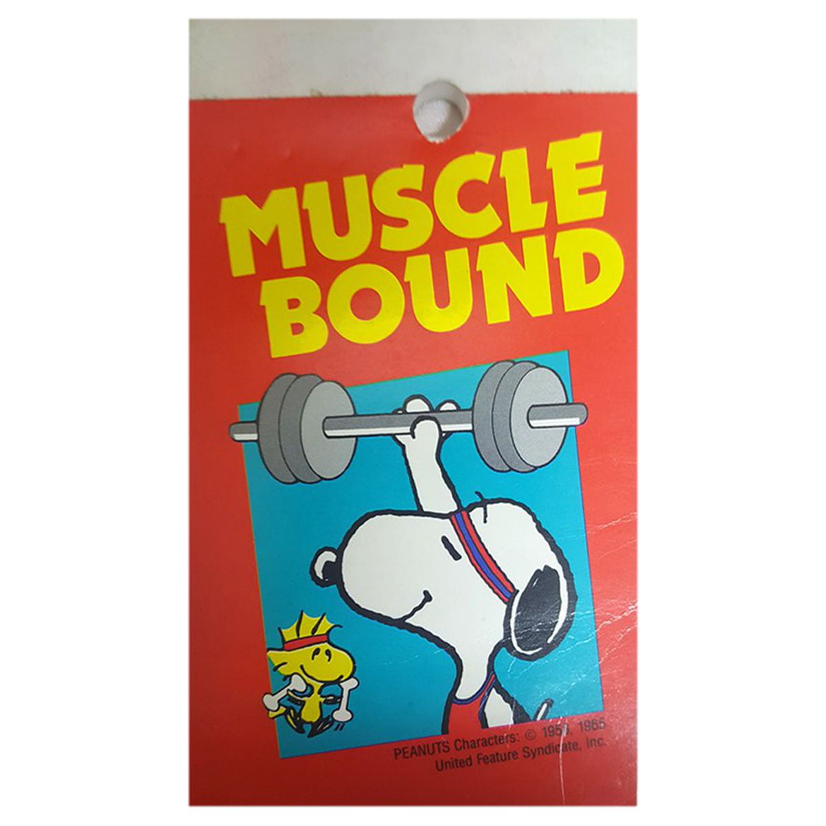 Snoopy Exercising
