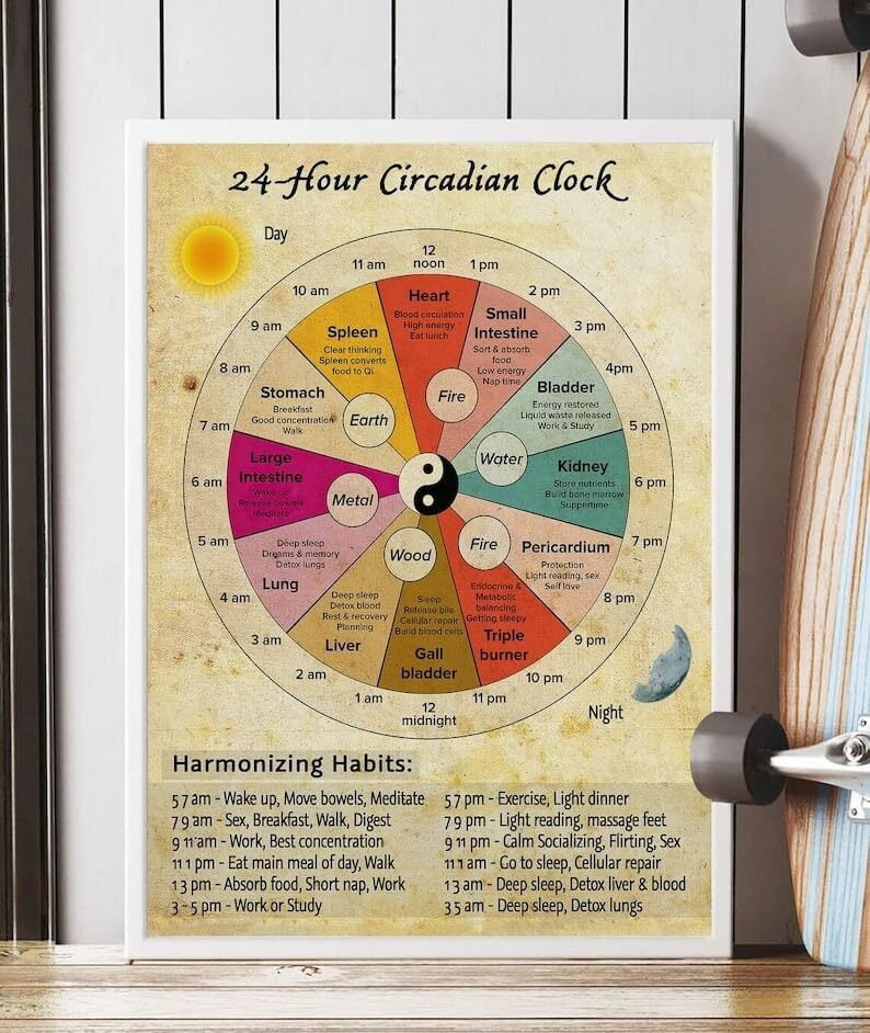 Vintage 24 Hour Circadian Clock Organ Clock Knowledge Wall Art Chinese ...