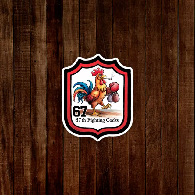 Vintage 67Th Fighting Cocks Military Unit Patch, Embroidered Rooster ...