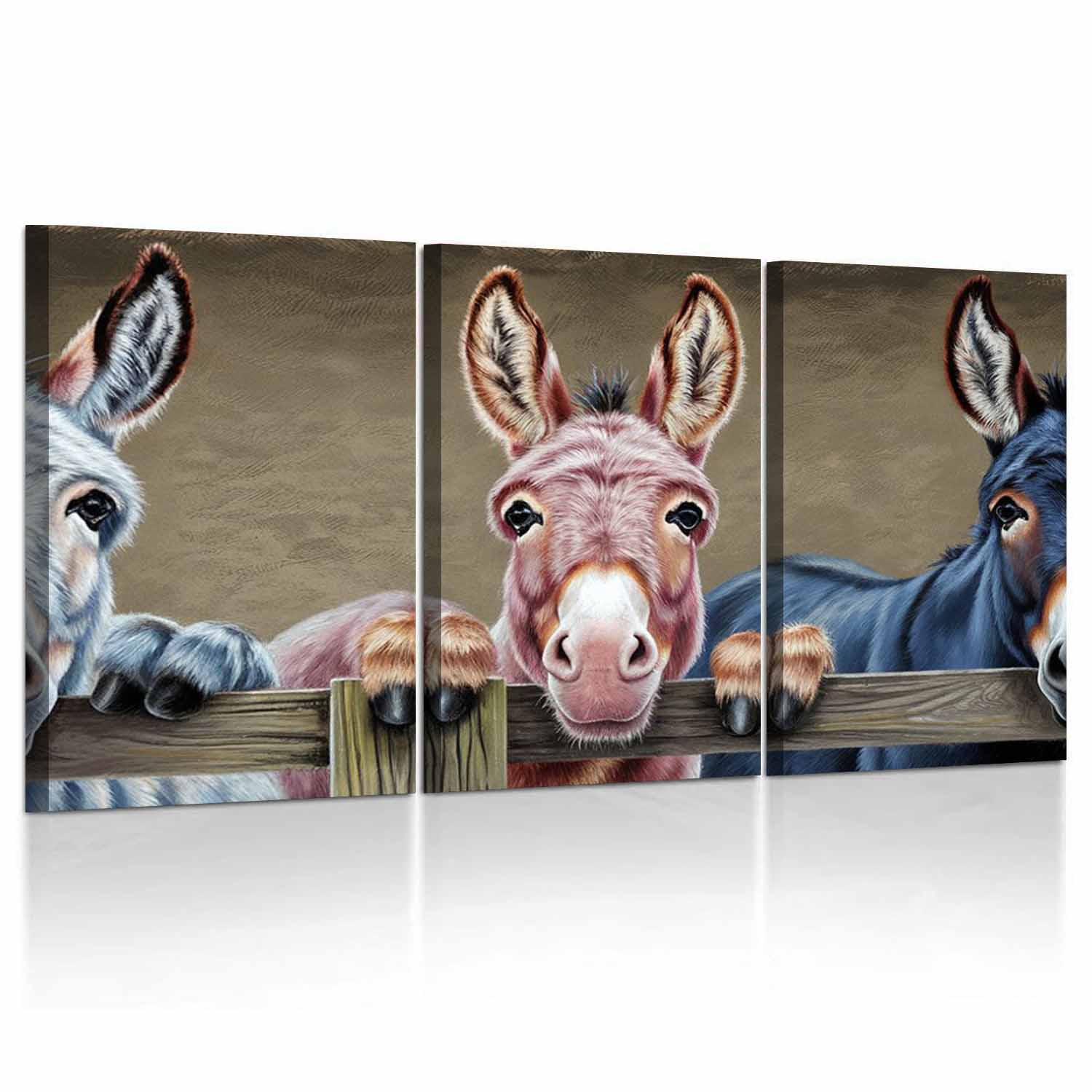 Donkey The Living Room