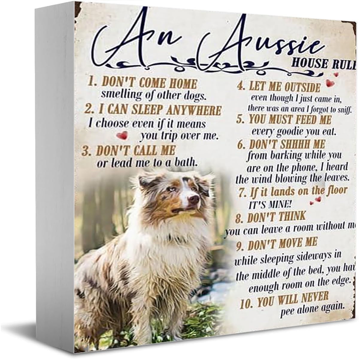 Vintage An Aussie House Rules Let Me Outside Decoration Wood Box Sign ...