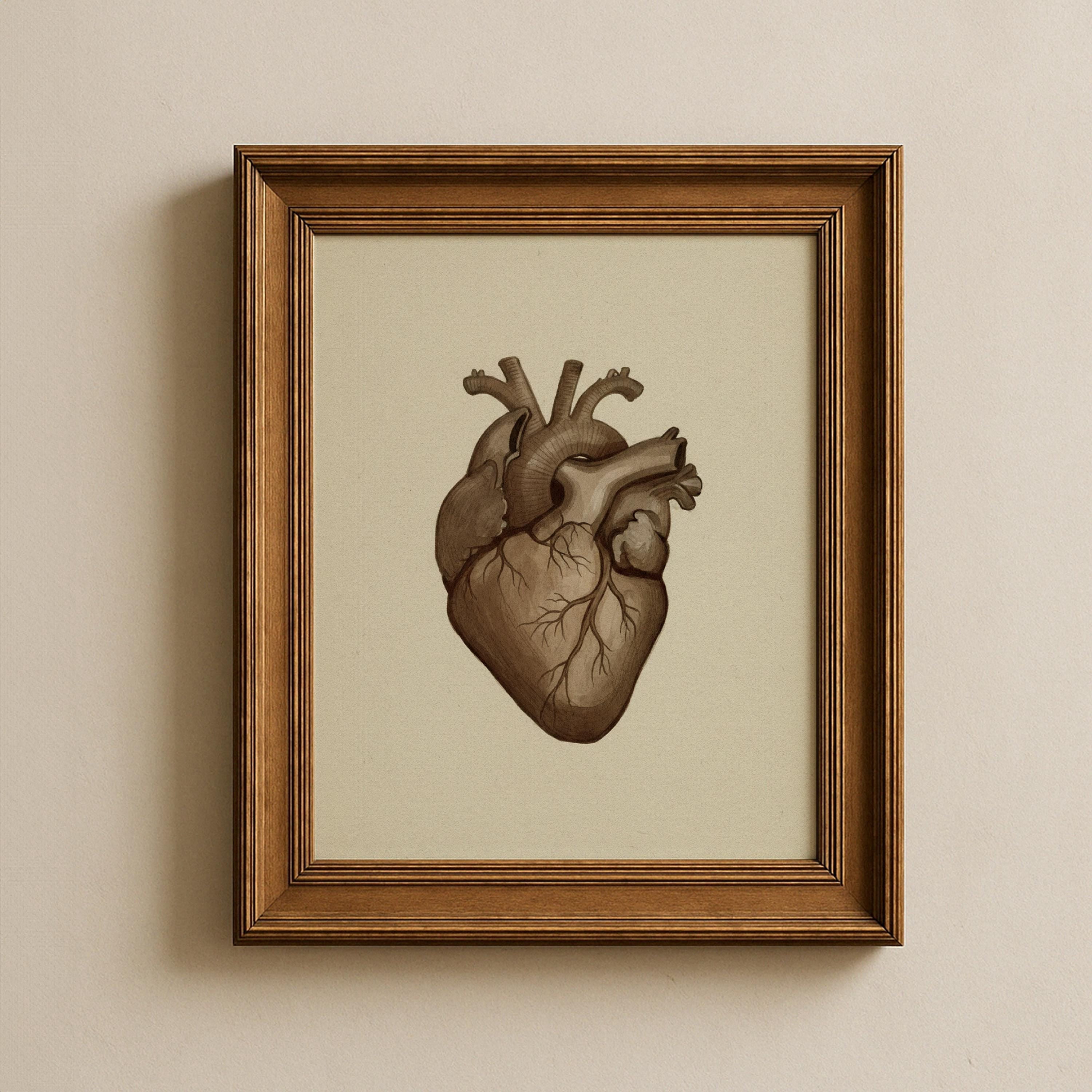 Vintage Anatomical Heart Print Medical Illustration Dark Academia ...