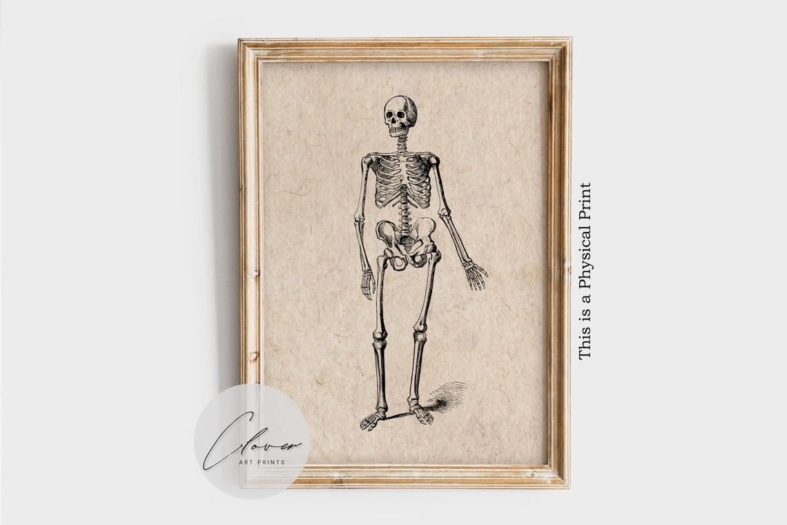 Vintage Anatomy, Medical Illustration, Gothic Wall Art, Antique Science ...