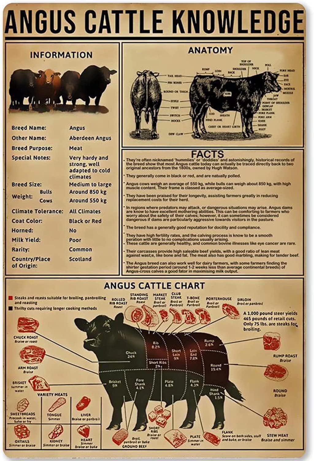 Vintage Angus Cattle Knowledge Canvas Poster Cow Structure Infographic ...