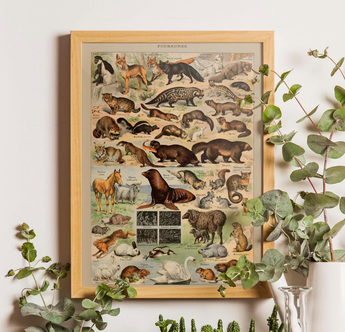 Vintage Animal Poster, Wild Animals, Wild Nature, Animal Poster Art ...