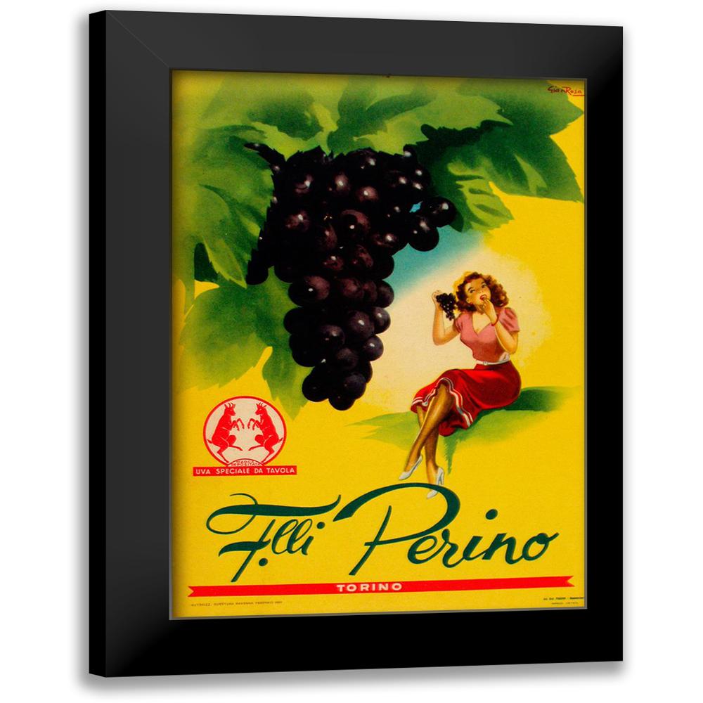 Vintage Apple Collection 11x14 Black Modern Framed Museum Art Print ...