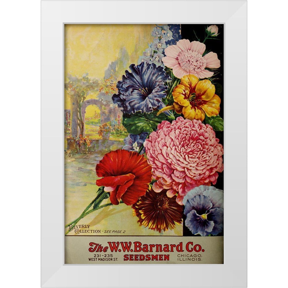 Vintage Apple Collection 11x14 White Modern Wood Framed Museum Art ...