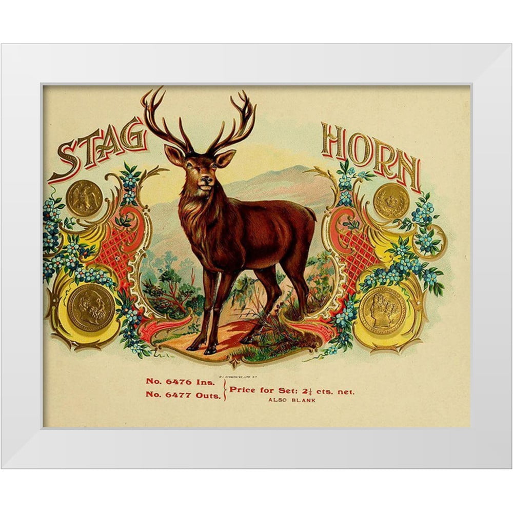 Vintage Apple Collection 14x12 White Modern Wood Framed Museum Art ...