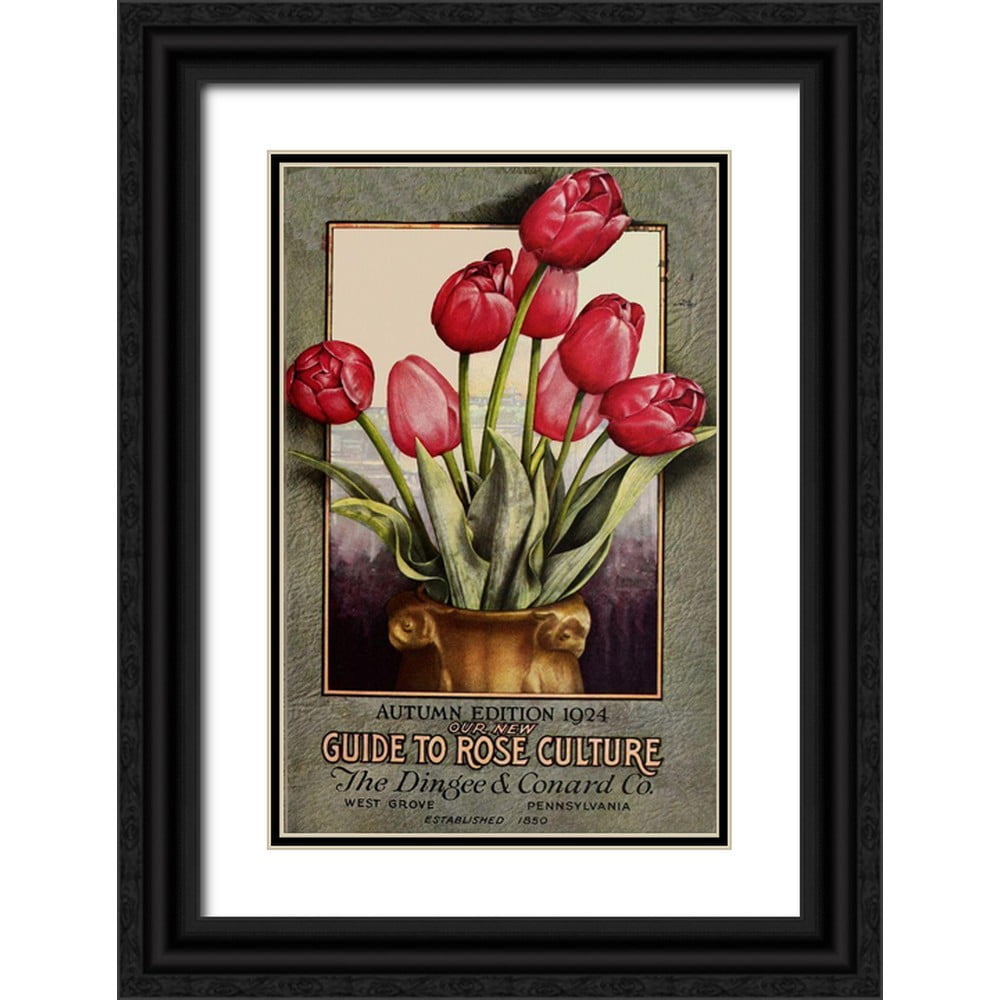 Vintage Apple Collection 17x24 Black Ornate Wood Framed with Double ...