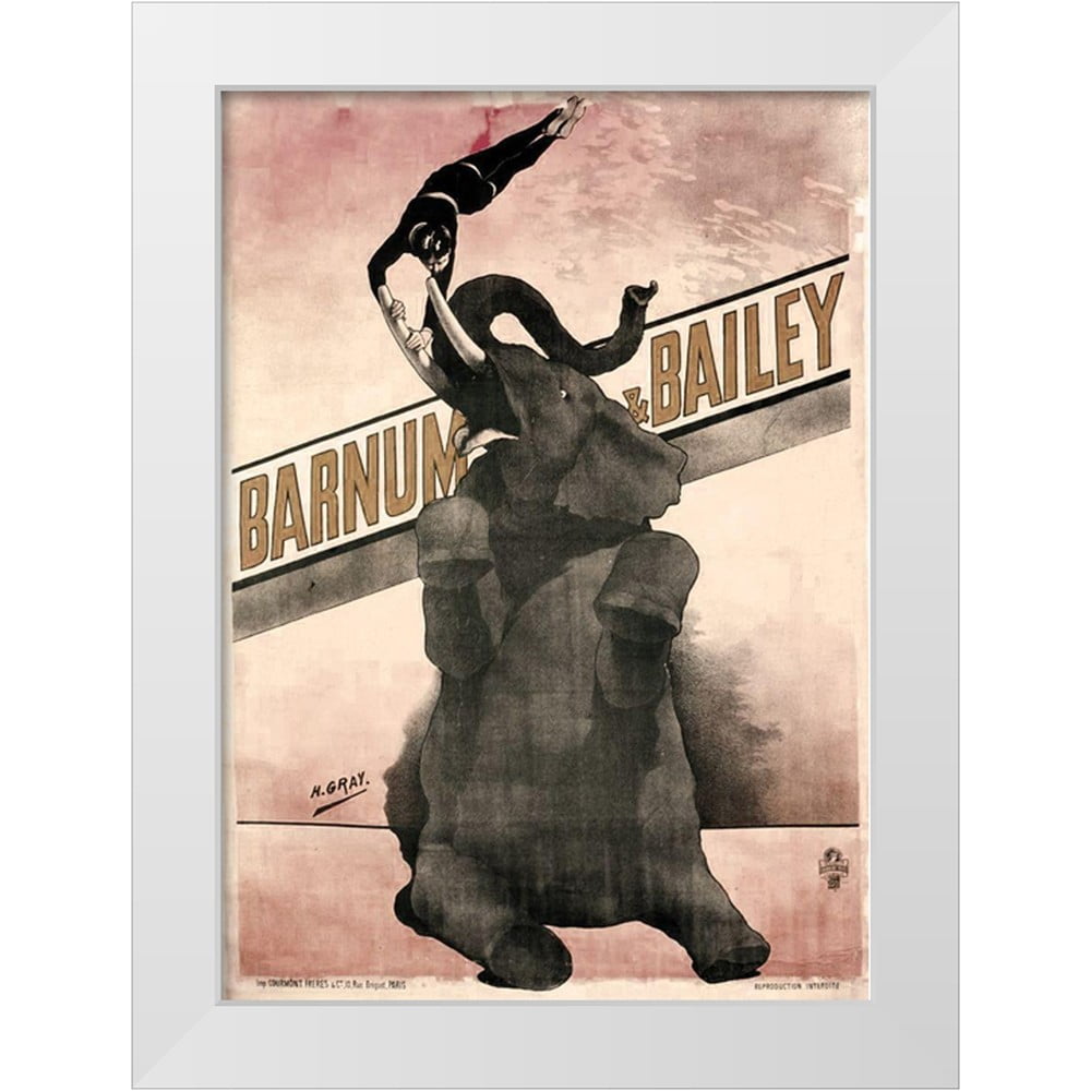 Vintage Apple Collection 18x24 White Modern Wood Framed Museum Art ...