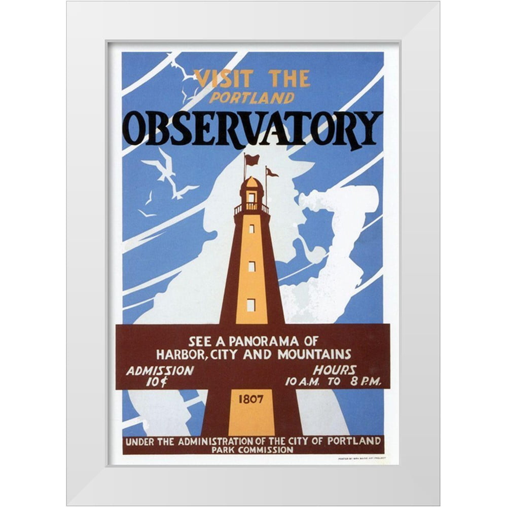 Vintage Apple Collection 18x24 White Modern Wood Framed Museum Art ...