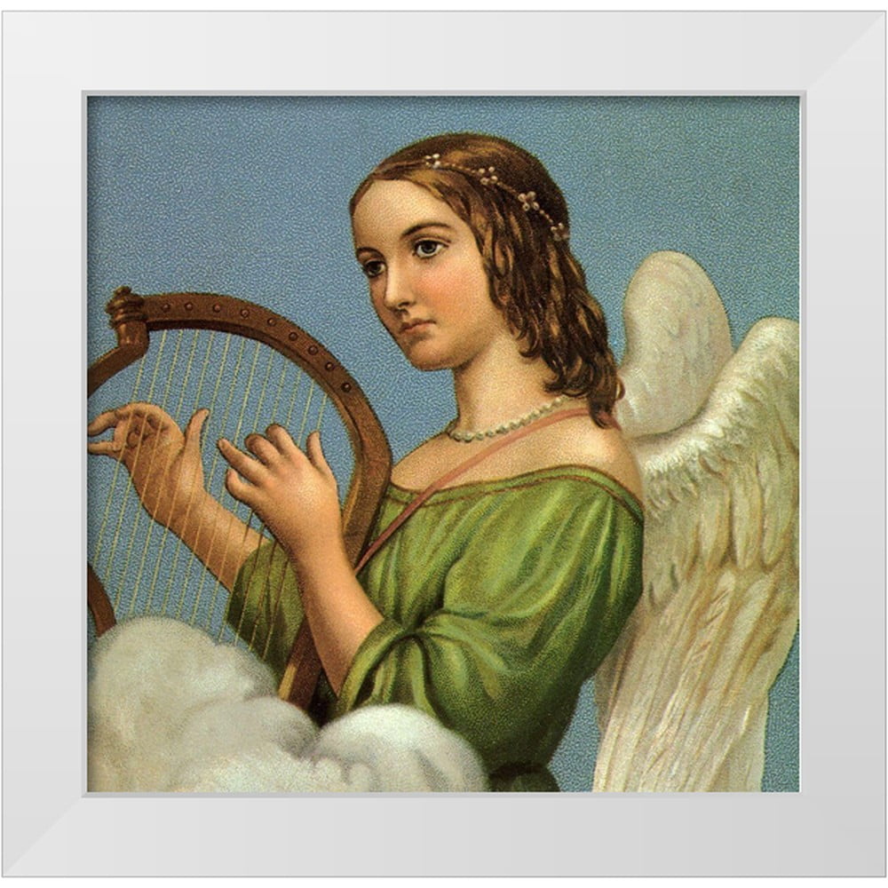 Vintage Apple Collection 20x20 White Modern Wood Framed Museum Art ...