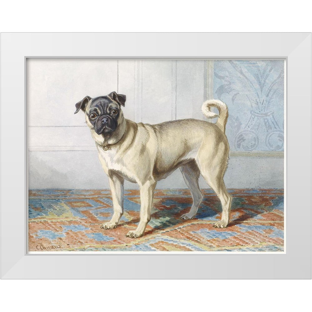 Vintage Apple Collection 24x19 White Modern Wood Framed Museum Art ...