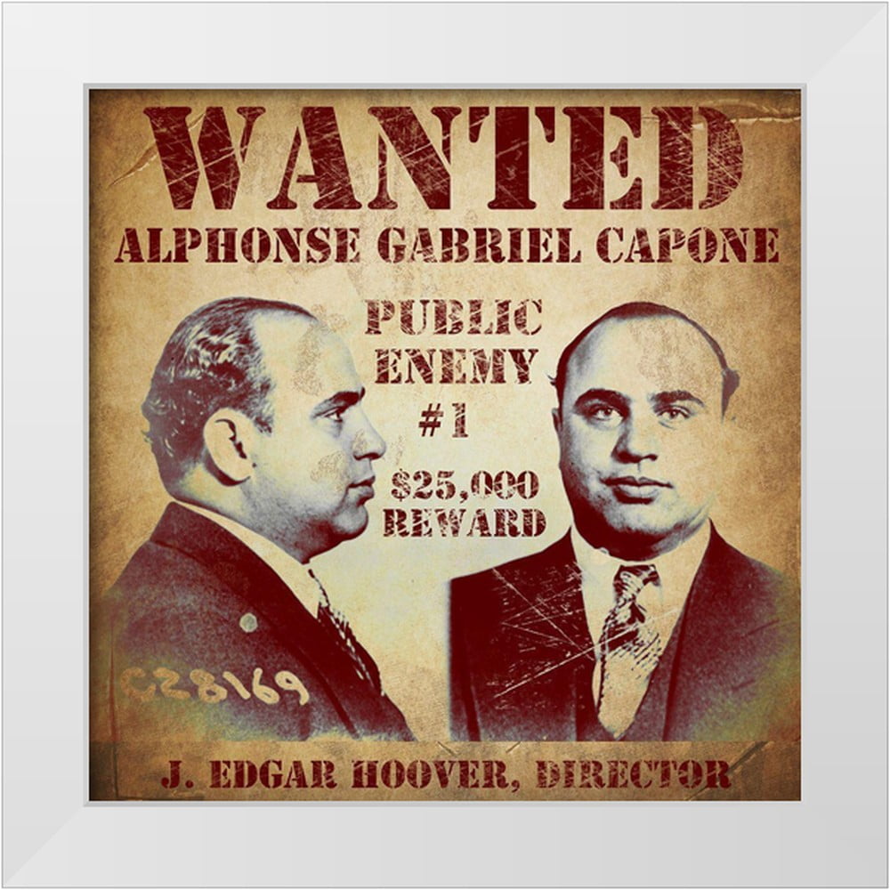 Vintage Apple Collection 26x26 White Modern Wood Framed Museum Art ...