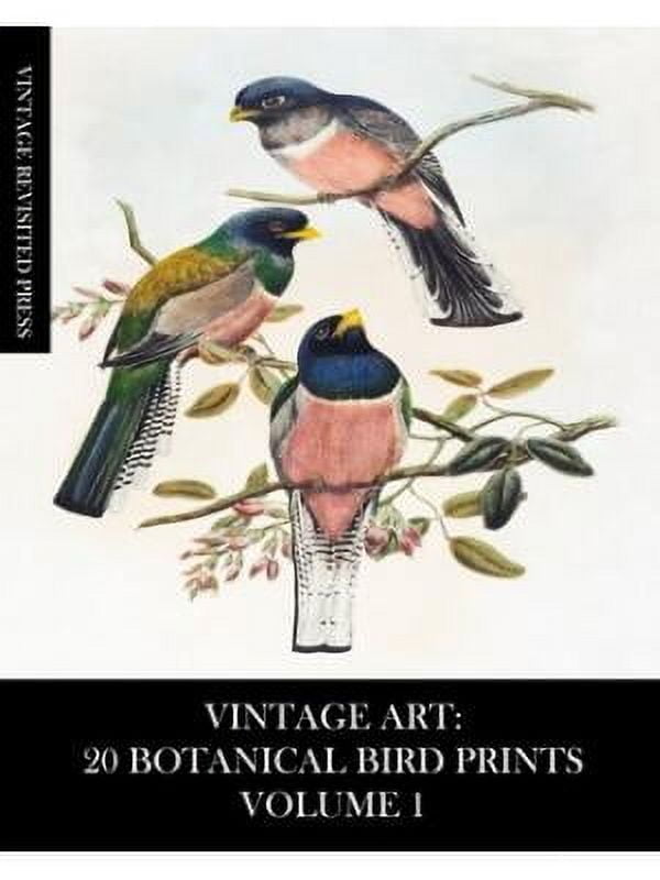 Vintage Art: 20 Botanical Bird Prints Volume 1: Ephemera for Framing ...