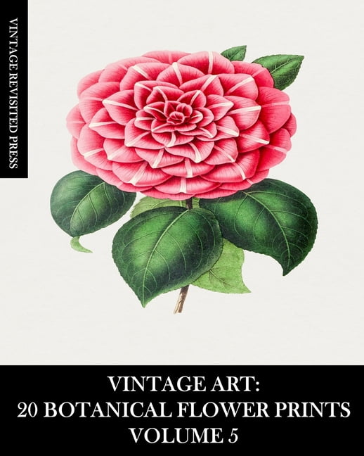 Vintage Art: 20 Botanical Flower Prints Volume 5: Ephemera for Framing ...