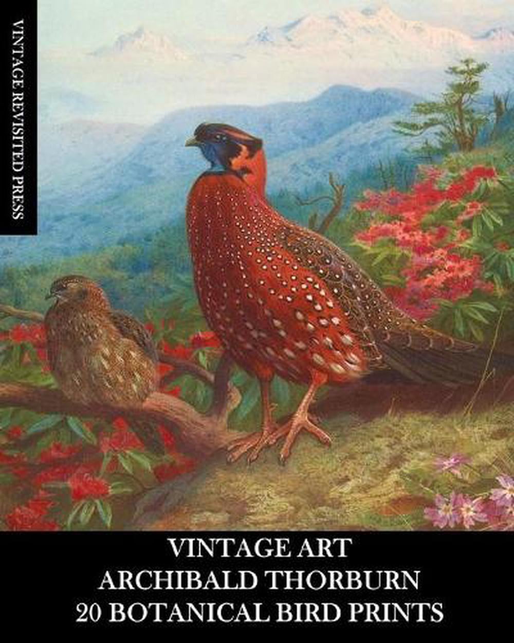 Vintage Art: Archibald Thorburn: 20 Botanical Bird Prints: Ephemera for ...