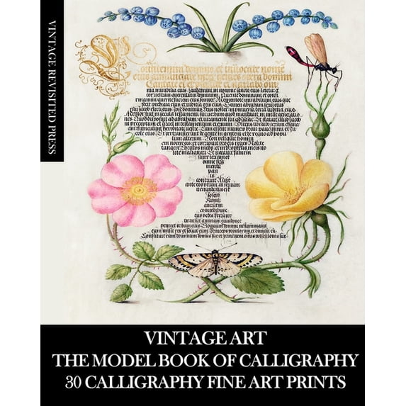 Vintage Art: The Model Book of Calligraphy: 30 Calligraphy Fine Art ...