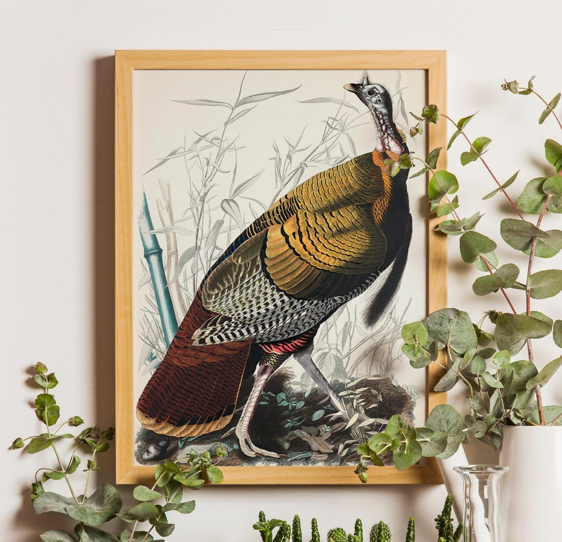 Vintage Audubon Wild Turkey, Bird Poster, Turkey Poster, Audubon Bird ...