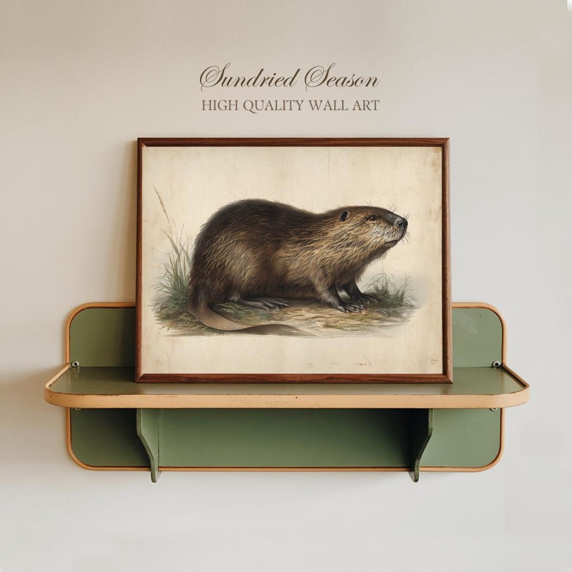 Vintage Beaver Art Print, Rustic Woodland Animal Illustration, North ...