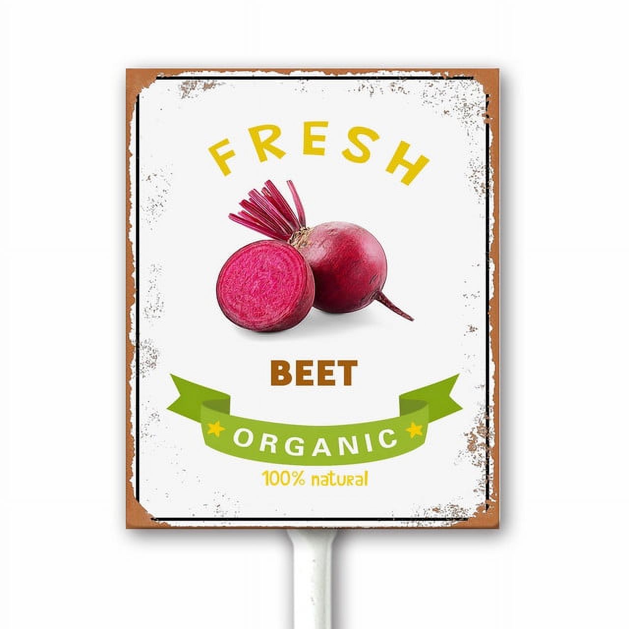 Vintage Beet Metal Sign Outdoor Plant Label Funny Vegetable Garden Sign ...