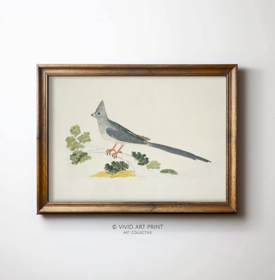 Vintage Bird Illustration Wall Art, Antique Minimalist Nature Nursery ...