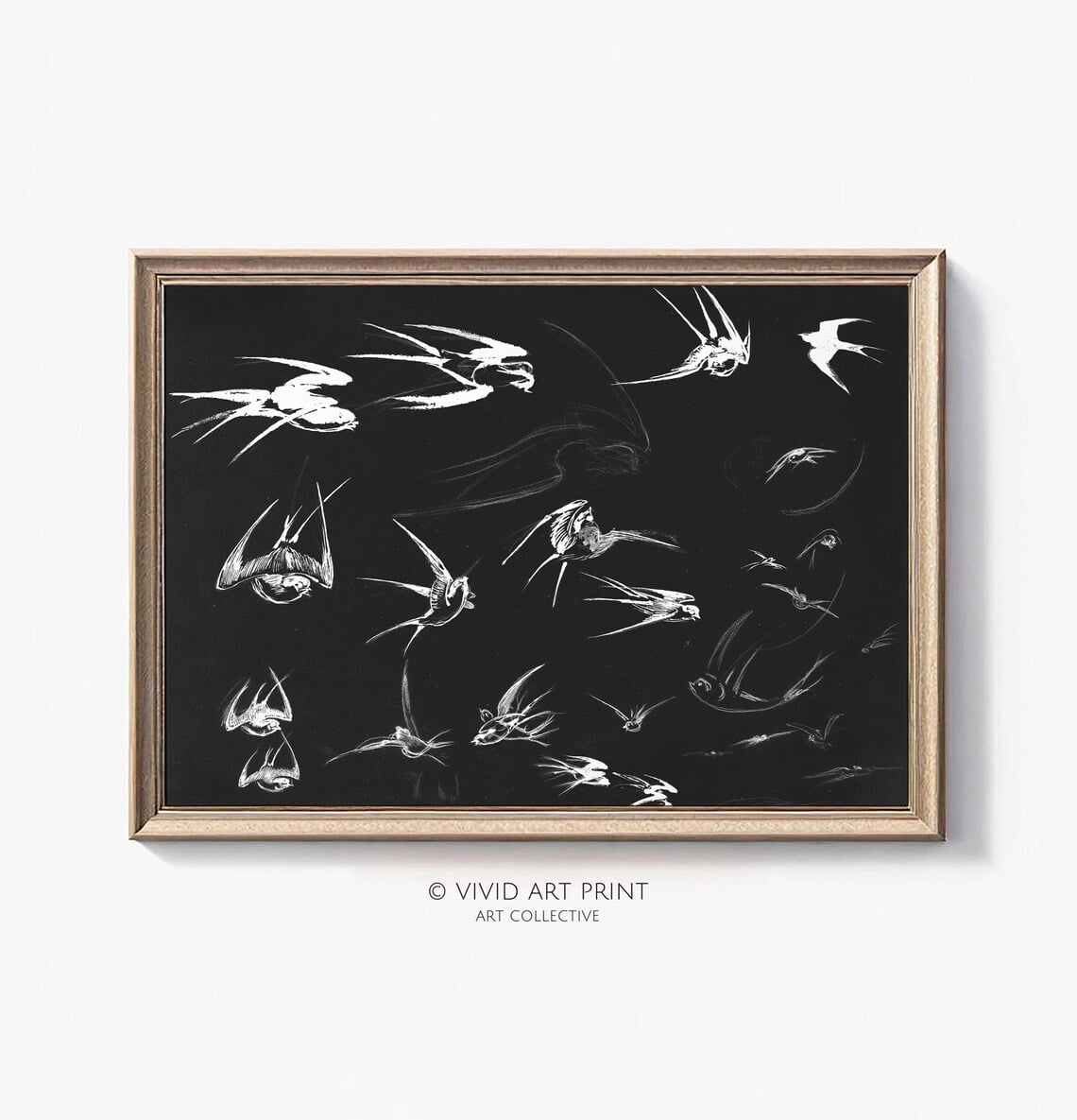 Vintage Bird Sketch Art "Swallows In Flight" Farmhouse Wall Decor ...